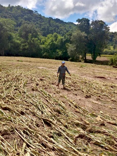 เกษตรฯ เร่งสำรวจช่วยเหลือเกษตรกรผู้ประสบอุทกภัย 49 จังหวัด สถานีวิทยุ