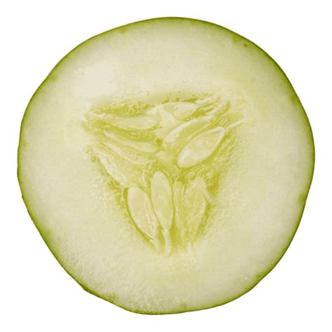 Cucumber Slice Pngs For Free Download