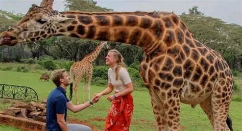 Nairobi Tour With Carnivore Lunch Nairobi
