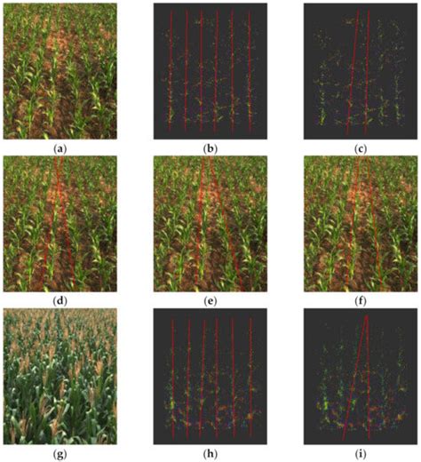 Agriculture Free Full Text Crop Row Detection In The Middle And