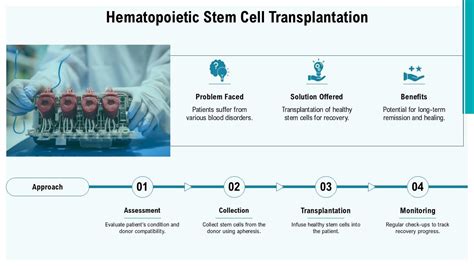 Hematopoiesis Stem Cells Ppt Graphics Acp Ppt Template