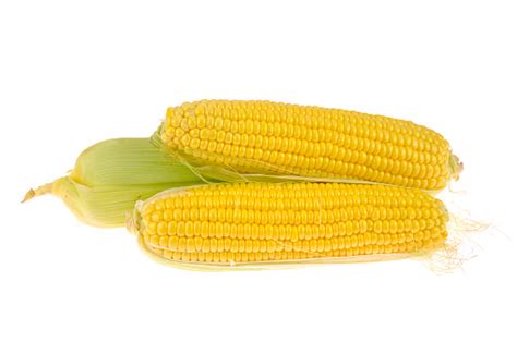 옥수수 Cobs 흰색 배경에 고립 0명에 대한 스톡 사진 및 기타 이미지 0명 3가지 개체 건강한 식생활 Istock