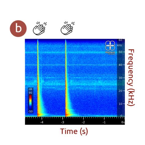 Improve Leak Detection In Noisy Environments With The Spectrogram Distran