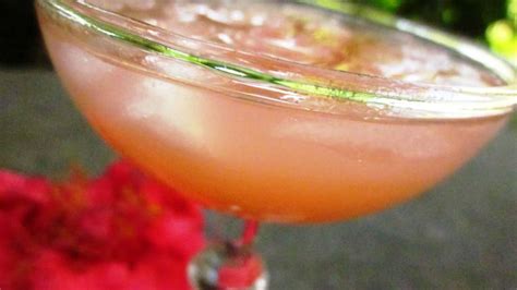 Ruby Red Sea Breeze Recipe