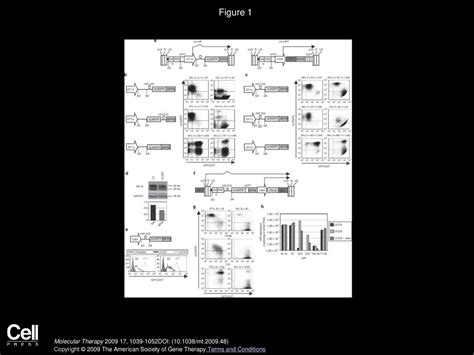 Volume Issue Pages June Ppt Download