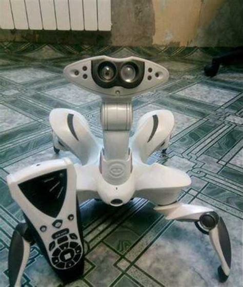 Wowwee Roboquad Festima Ru