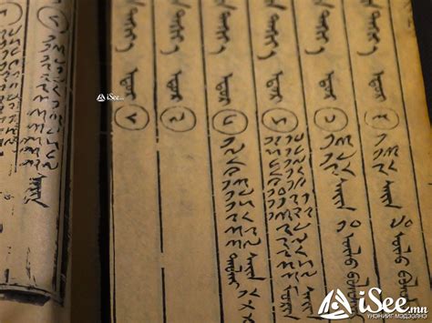 ВИДЕО Д Эрдэнэбаатар нарын хууль бусаар худалдаалахыг завдсан Ромын үеийн шилэн ваар зэрэг