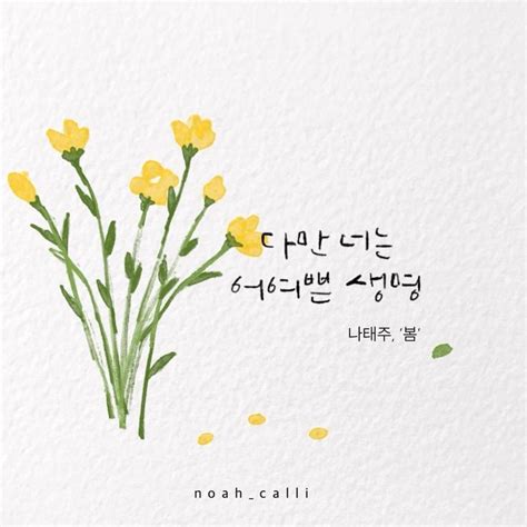 노아캘리 On Instagram 다만 너는 어여뻐🌼 그냥 제가 풀이니까 새싹을 피우는 거다 다만 너는 어여쁜 생명 나태주 봄 에서 봄 나태주 캘리그라피