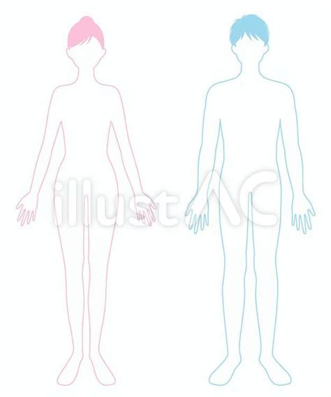 人体 男女の身体 全身の線画イラスト No 22225885／無料イラストフリー素材なら「イラストac」