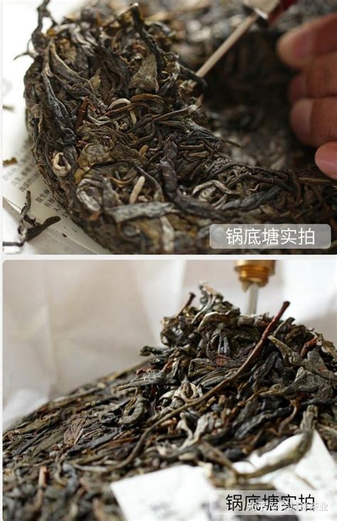 锅底塘：梅子箐顶配，类似冰岛老寨的存在！冷韵幽香，甘醇甜凉，预售直降￥130 知乎