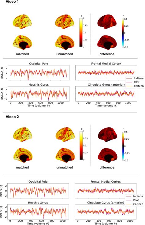 exploratory comparison of brain response consistency for matched