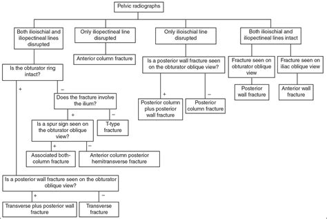 Jaaos Journal Of The American Academy Of Orthopaedic Surgeons