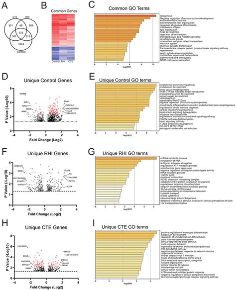 Analysis Of Common And Unique Genes And Biological Process Found In The