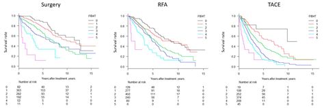 Utility Of Fib4 T As A Prognostic Factor For Hepatocellular Carcinoma