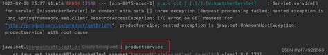 Nacos Java Net Unknownhostexception Java G