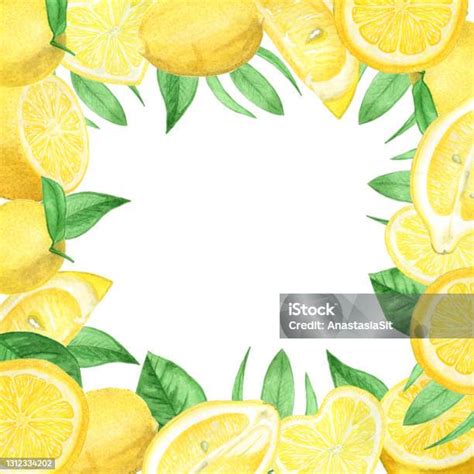 레몬 옐로우 수채화 일러스트 프레임 테두리 엽서 수분이 많은 노란 레몬 여름 과일 테두리 엽서 감귤류 과일에 대한 스톡 벡터 아트 및 기타 이미지 Istock