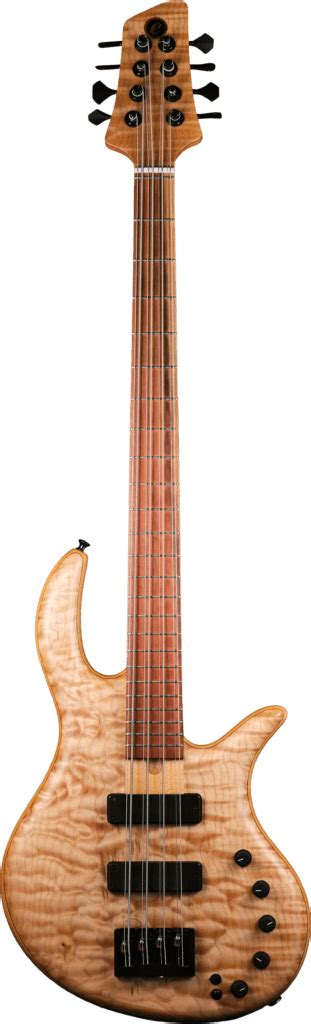 Pre Owned Elrick Evo Custom 8 String Bass Buddha
