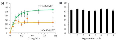 A Adsorption Isotherms Of Gfp Onto Magnetic Mip And Nip Fitted With