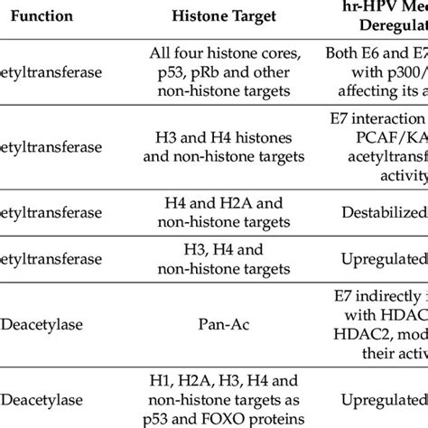 Schematic Representation Of Hr Hpv Hpv1618 Mediated Cellular