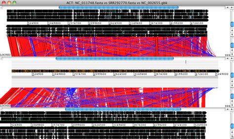 Pairwise Genome Comparisons With Act The Artemis Comparison Download Scientific Diagram