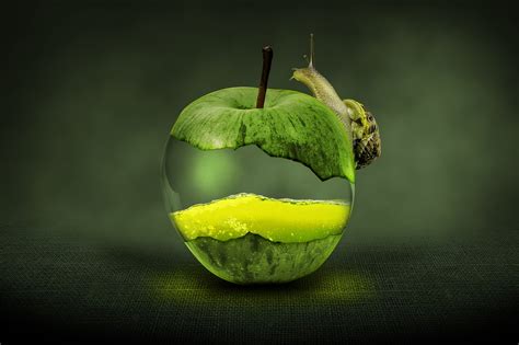 Free Illustration Apple Green Fruit Art Free Image On Pixabay