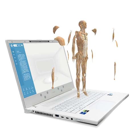 China Mr Human Anatomy D Enhanced Interactive System Manufacturers