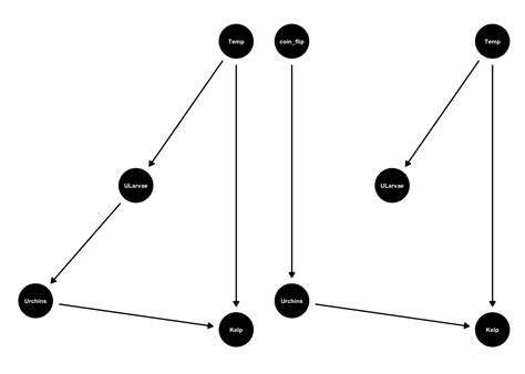 Introduction To Structural Causal Modelling