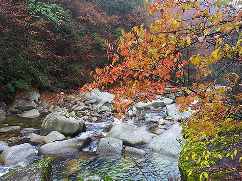 2024光雾山是一方神奇秀丽的自然山水其景色秀丽步移景换奇峰林立沟壕纵横瀑布珠连古木参天 光雾山旅游景区 评论 去哪儿攻略
