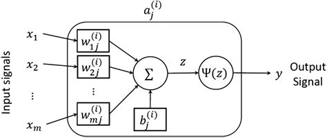 illustration of perceptron model of neuron a i ð Þ j download scientific diagram