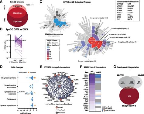 Dysregulation Of Synaptic And Developmental Transcriptomic Proteomic