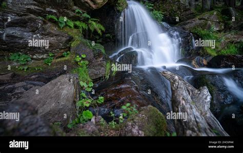Une Sc Ne Fascinante De La Cascade De Triberg For T Noire Allemagne
