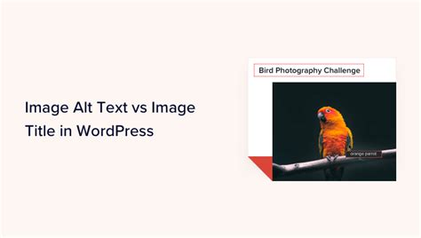 Picture Alt Textual Content Vs Picture Title In WordPress Handla It