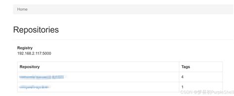 Docker镜像仓库搭建 Registrydocker Registry Mirrors Csdn博客
