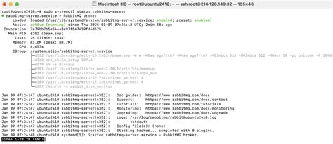 How To Install Rabbitmq On Ubuntu 2410 Devtutorial