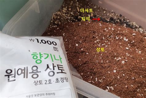 칼랑코에 칼란디바 분갈이 흙 만들기
