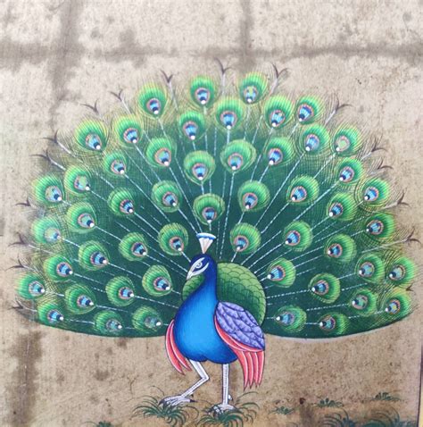 Peacock Painting Indian Miniature Painting National Bird Of Etsy Hong