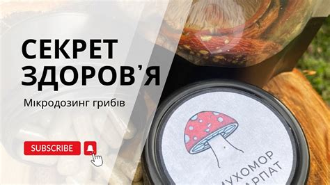 Лисичка в капсулах - Спірулінна - Секрет твого здоров'я - YouTube