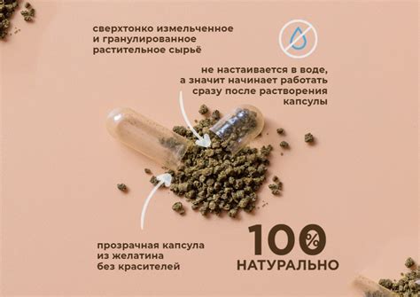 Купить Исландский мох в капсулах по низкой цене в Алтайвита