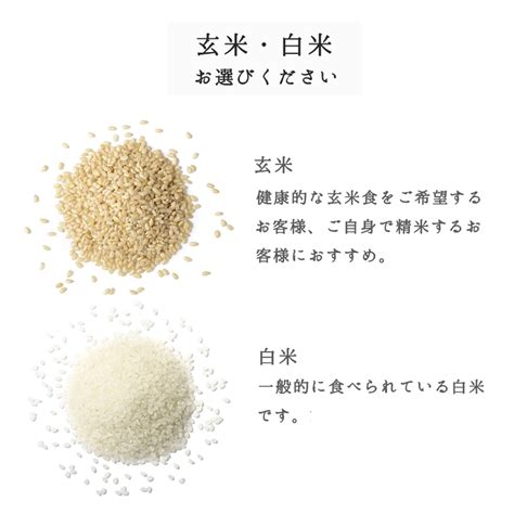 【楽天市場】ひとめぼれ 10kg 5kg×2袋 米 お米 白米 玄米 山形県産 送料無料 新米 令和6年産 ヤマト：丸公楽天市場店