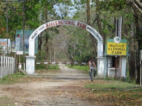 Manas National Park Alchetron The Free Social Encyclopedia