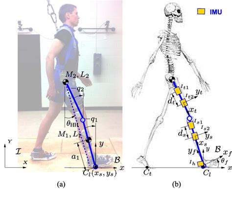 Figure 2 From Inertial Sensor Based Slip Detection In Human Walking Semantic Scholar