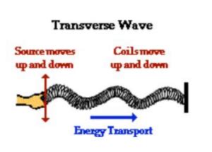 CIE AS A Level Physics 7 2 Transverse And Longitudinal Waves Study Notes