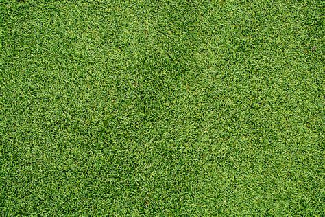 Green Grass As Green Background Grass Green Grass Background Photo And