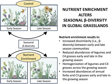 Journal Of Ecology Vol 111 No 10