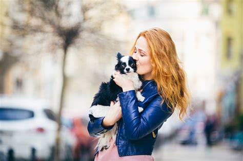 주 근 깨와 젊은 Redhaired 백인 여 자가 보유 하 고 키스 치와와 품종의 풀 숲 개 흑인과 백인을 수용 블루 가죽 자 켓을 입은 여 자가 유럽에서 봄에서 거리에 서
