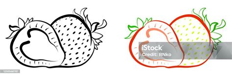 육즙이 잘 익은 딸기 전체와 빈 배경에 컷 어웨이 아이콘 여름 과일과 열매 채식주의 비타민 건강한 라이프 스타일 흰색에 격리된 벡터 0명에 대한 스톡 벡터 아트 및 기타