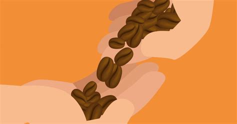 Farm Mapping Tech Ensuring Coffee Traceability From Bean To Cup