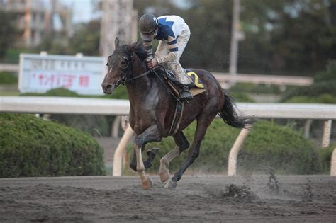 【福島牝馬ステークス2018】追い切りから見る1着予想 レッドアタックの競馬予想ブログ