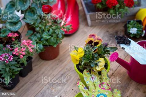 원 예 도구 급수 깡통 꽃 장갑 삽 토양 무료 텍스트 공간을 정원 개념 레이아웃에 봄 개체 그룹에 대한 스톡 사진 및 기타 이미지 Istock