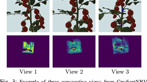 Figure 3 From Gradient Based Local Next Best View Planning For Improved